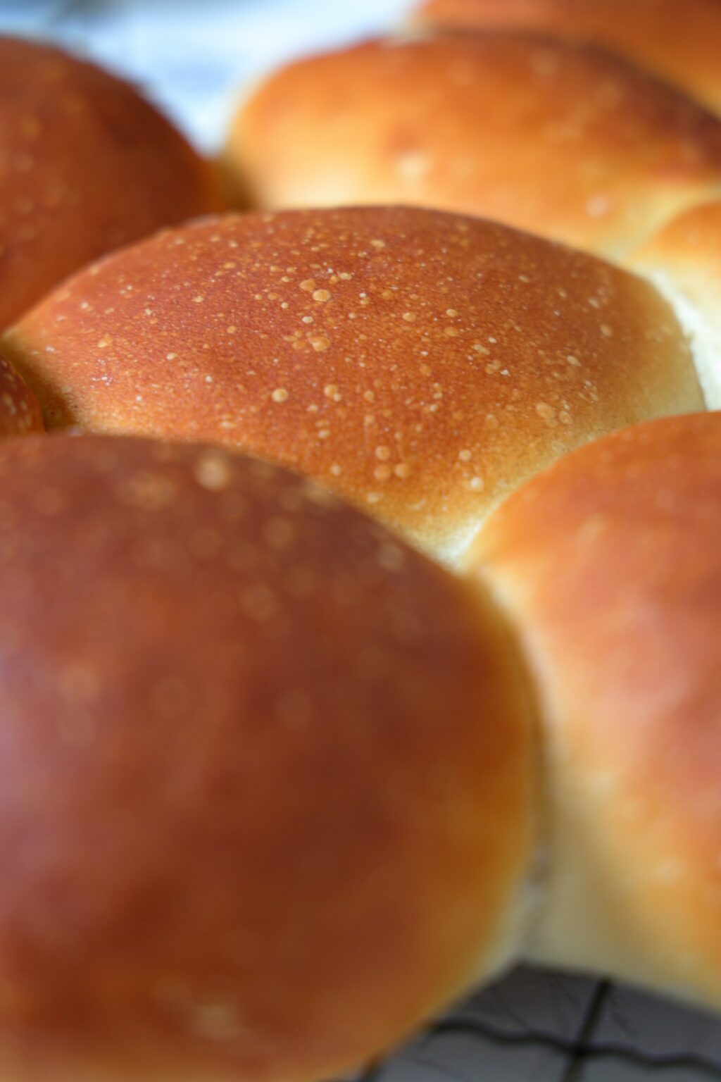 Bread Rolls Recipe - The Thrifty Squirrels